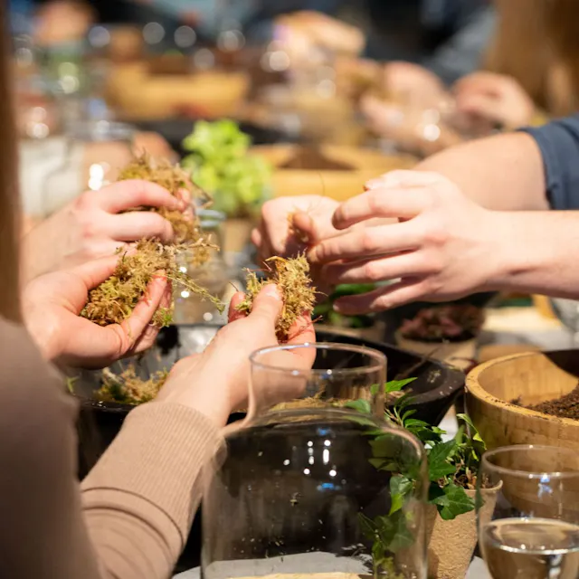 Plantarium | Workshops